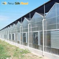 China NSR Venlo Type Multi-Span Agricultural Polycarbonate Greenhouse - 6m to 12m Spans, 1.2kN Wind Load, Custom Sizes for sale