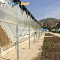China NSR Venlo Type Multi-Span Agricultural Polycarbonate Greenhouse - 6m to 12m Spans, 1.2kN Wind Load, Custom Sizes for sale