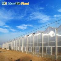 China Venlo Type Multi-Span Polycarbonate Greenhouse 6m-12m Span with 1.2 kn/㎡ Wind Load and Customizable Dimensions for sale