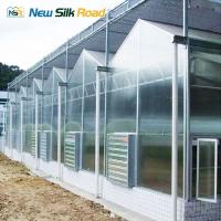 China Customized Venlo Type Polycarbonate Greenhouse with 6-12m Span Width and 1.2 kn/㎡ Wind Load Capacity for sale