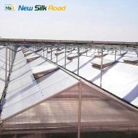 China Customized Venlo Type Polycarbonate Greenhouse with 6-12m Span Width and 1.2 kn/㎡ Wind Load Capacity for sale