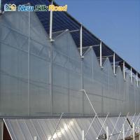 China Customized Venlo Type Polycarbonate Greenhouse with 6-12m Span Width and 1.2 kn/㎡ Wind Load Capacity for sale