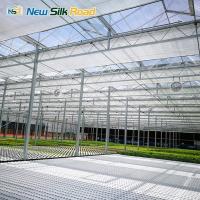 China Customized Venlo Type Polycarbonate Greenhouse with 6-12m Span Width and 1.2 kn/㎡ Wind Load Capacity for sale