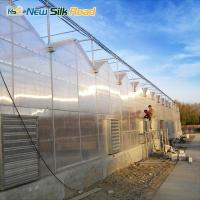 China Venlo Type Multi-Span Polycarbonate Greenhouse 6-12m Span with 1.2kN Wind Load for Agricultural Use for sale