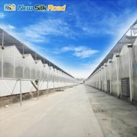 China NSR Venlo Type Multi-Span Agricultural Polycarbonate Greenhouse 6m-12m Span with 1.2kN Wind Load for sale