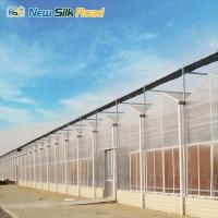 China Venlo Type Multi-Span Agricultural Polycarbonate Greenhouse 6m-12m Span with 1.2kN Wind Load and Hot-Dip Galvanized Steel Frame for sale