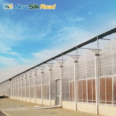 China Venlo Type Multi-Span Agricultural Polycarbonate Greenhouse 6m-12m Span with 1.2kN Wind Load and Hot-Dip Galvanized Steel Frame for sale