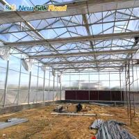 China Venlo Type Multi-Span Agricultural Polycarbonate Greenhouse 6m-12m Span with 1.2kN Wind Load and Hot-Dip Galvanized Steel Frame for sale