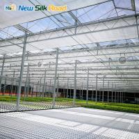 China Venlo Type Multi-Span Agricultural Polycarbonate Greenhouse 6m-12m Span with 1.2kN Wind Load and Hot-Dip Galvanized Steel Frame for sale