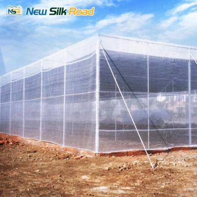 China HDPE Agricultural Insect Net Greenhouse with Galvanized Steel Frame - 5-12m Span, 80-130 KM/H Wind Load, 20-Year Structure Life for sale
