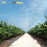 China HDPE Agricultural Insect Net Greenhouse with Galvanized Steel Frame - 5-12m Span, 80-130 KM/H Wind Load, 20-Year Structure Life for sale