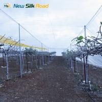 China HDPE Agricultural Insect Net Greenhouse with Galvanized Steel Frame - 5-12m Span, 80-130 KM/H Wind Load, 20-Year Structure Life for sale