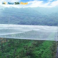 China HDPE Agricultural Insect Net Greenhouse with Galvanized Steel Frame - 5-12m Span, 80-130 KM/H Wind Load, 20-Year Structure Life for sale