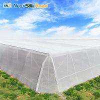 China NSR HDPE Agricultural Insect Net Greenhouse - 5-12m Span, 20-100m Length with Hot-Dip Galvanized Frame for sale