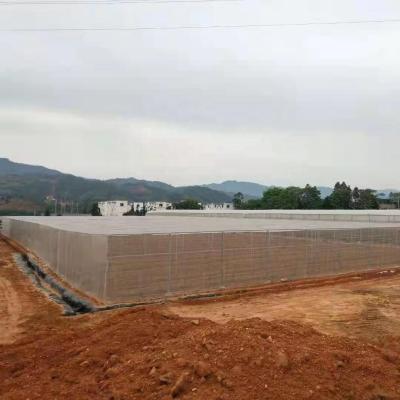 China NSR Insect Net Greenhouse 5-12m Span with 20-100m Length and 80-130 KM/H Wind Load for African Agriculture for sale