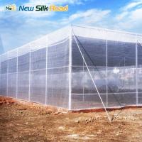 China NSR Insect Net Greenhouse 5-12m Span with 20-100m Length and 80-130 KM/H Wind Load for African Agriculture for sale