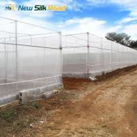 China NSR Insect Net Greenhouse 5-12m Span with 20-100m Length and 80-130 KM/H Wind Load for African Agriculture for sale