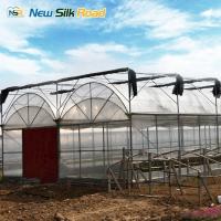 China Double Arch Multi-Span Agricultural Film Greenhouse 6m-12m Span with 0.8 kn/㎡ Snow Load Rating for sale