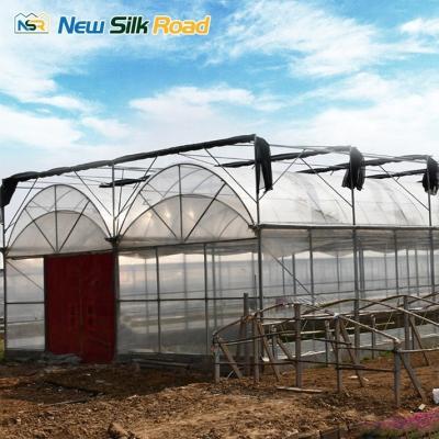 China Double Arch Multi-Span Agricultural Film Greenhouse 6m-12m Span with 0.8 kn/㎡ Snow Load Rating for sale