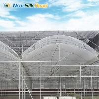 China Double Arch Multi-Span Agricultural Film Greenhouse 6m-12m Span with 0.8 kn/㎡ Snow Load Rating for sale