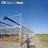 China Double Arch Multi-Span Agricultural Film Greenhouse 6m-12m Span with 0.8 kn/㎡ Snow Load Rating for sale