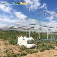 China Double Arch Multi-Span Agricultural Film Greenhouse 6m-12m Span with 0.8 kn/㎡ Snow Load Rating for sale