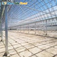 China Double Arch Multi-Span Agricultural Film Greenhouse 6m-12m Span with 0.8 kn/㎡ Snow Load Rating for sale