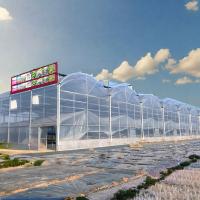 China Double Arch Multi-Span Agricultural Film Greenhouse 8m-12m Span with 0.8 kn/㎡ Snow Load for Cold Climate Farming for sale