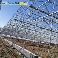 China Double Arch Multi-Span Agricultural Film Greenhouse 8m-12m Span with 0.8 kn/㎡ Snow Load for Cold Climate Farming for sale