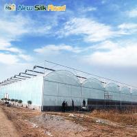 China Double Arch Multi-Span Agricultural Film Greenhouse with 6-12m Spans and 0.8 kn/㎡ Snow Load Capacity for sale