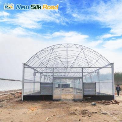 China NSR Single Span Double-Layer Plastic Film Greenhouse with 5-12m Span and 20-100m Length Options for sale