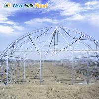 China NSR Single Span Double-Layer Plastic Film Greenhouse with 5-12m Span and 20-100m Length Options for sale