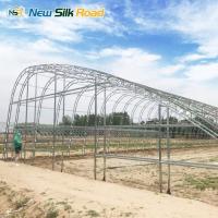 China NSR Single Span Double-Layer Plastic Film Greenhouse with 5-12m Span and 20-100m Length Options for sale