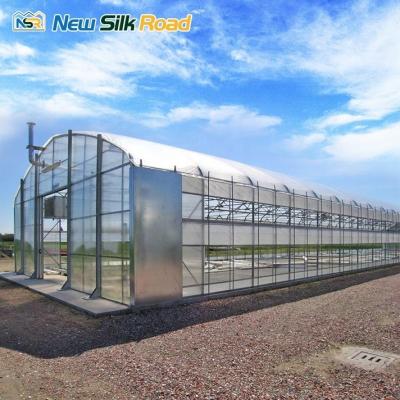 China Galvanized Steel Frame Single-Span Agricultural Greenhouse 5-12m Span with PE/Poly Film Cover for sale