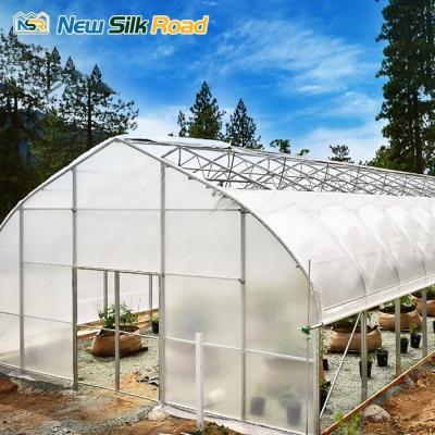 China NSR Single Span Plastic Film Greenhouse 5-12m Span with 20-100m Length and Hot-Dip Galvanized Steel Frame for sale