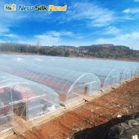 China Customizable Single Span Steel Greenhouse 5-12m Span with 20-Year Hot-Dip Galvanized Frame for Hydroponic Farming for sale