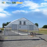 China Customizable Single Span Steel Greenhouse 5-12m Span with 20-Year Hot-Dip Galvanized Frame for Hydroponic Farming for sale