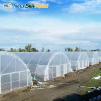 China Customizable Single Span Steel Greenhouse 5-12m Span with 20-Year Hot-Dip Galvanized Frame for Hydroponic Farming for sale