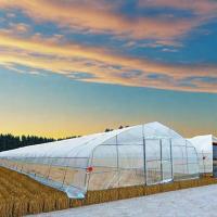 China Single Span Plastic Film Greenhouse 5-12m Span with 20 Year Hot-Dip Galvanized Steel Frame and Customizable Dimensions for sale