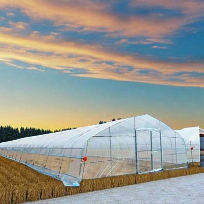 China Single Span Plastic Film Greenhouse 5-12m Span with 20 Year Hot-Dip Galvanized Steel Frame and Customizable Dimensions for sale