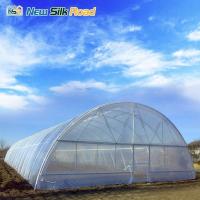 China Single Span Plastic Film Greenhouse 5-12m Span with 20 Year Hot-Dip Galvanized Steel Frame and Customizable Dimensions for sale