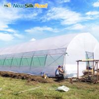 China Single Span Plastic Film Greenhouse 5-12m Span with 20 Year Hot-Dip Galvanized Steel Frame and Customizable Dimensions for sale