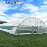 China Single Span Plastic Film Greenhouse 5-12m Span with 20 Year Hot-Dip Galvanized Steel Frame and Customizable Dimensions for sale