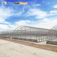 China PE Plastic Film Galvanized Steel Greenhouse 8m Span 20m Length with 20-Year Frame Life for Vegetable Cultivation for sale
