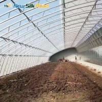 China PE Plastic Film Galvanized Steel Greenhouse 8m Span 20m Length with 20-Year Frame Life for Vegetable Cultivation for sale