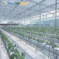 China Venlo Type Multi-Span Agricultural Glass Greenhouse with 6-12m Spans and 1.2kN Wind Load Capacity for sale
