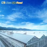 China Venlo Type Multi-Span Agricultural Glass Greenhouse 6m-12m Span with 1.2kN Wind Load for Commercial Farming for sale