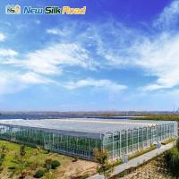 China Venlo Type Multi-Span Agricultural Glass Greenhouse 6m-12m Span with 1.2kN Wind Load for Commercial Farming for sale