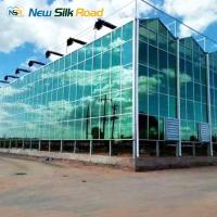 China Venlo Type Multi-Span Agricultural Glass Greenhouse 6m-12m Span with 1.2kN Wind Load for Commercial Farming for sale