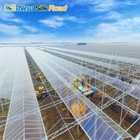 China Venlo Type Multi-Span Agricultural Glass Greenhouse 6m-12m Span with 1.2kN Wind Load for Commercial Farming for sale